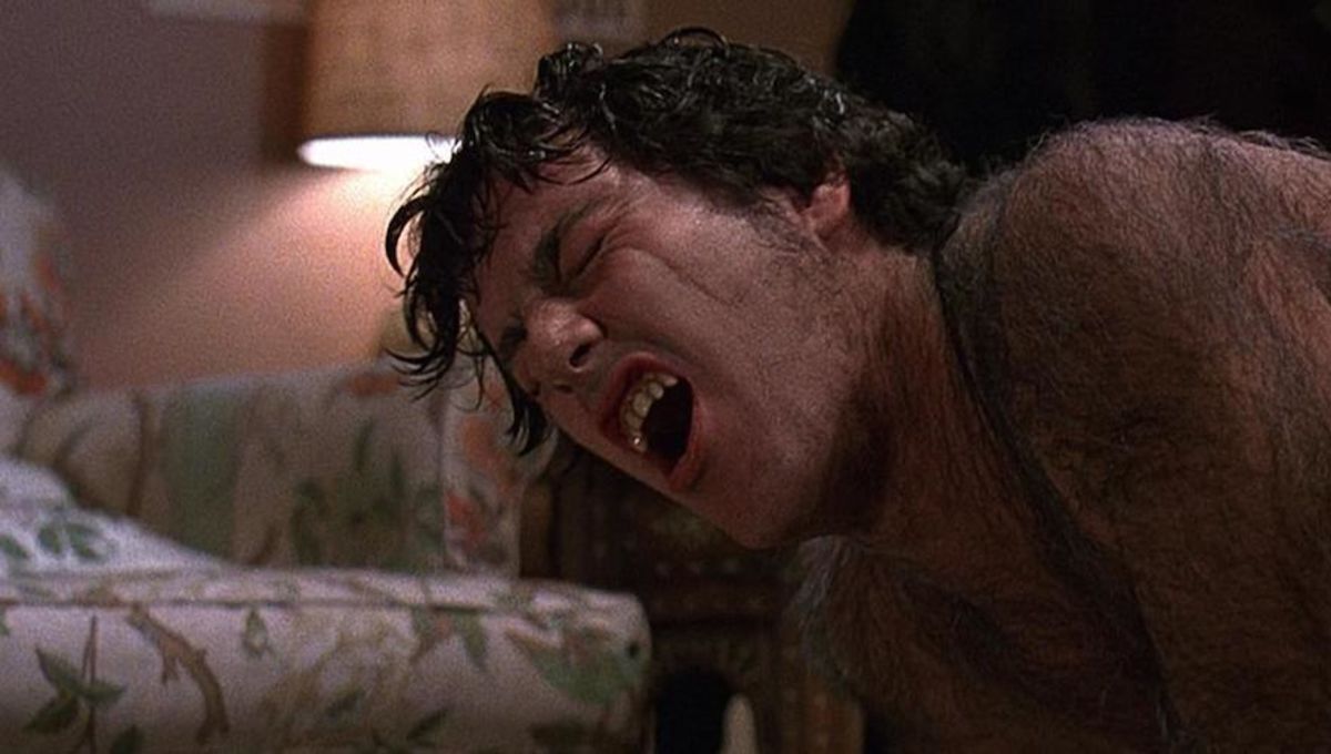 Opposing Viewpoints of Wolfen and An American Werewolf in London