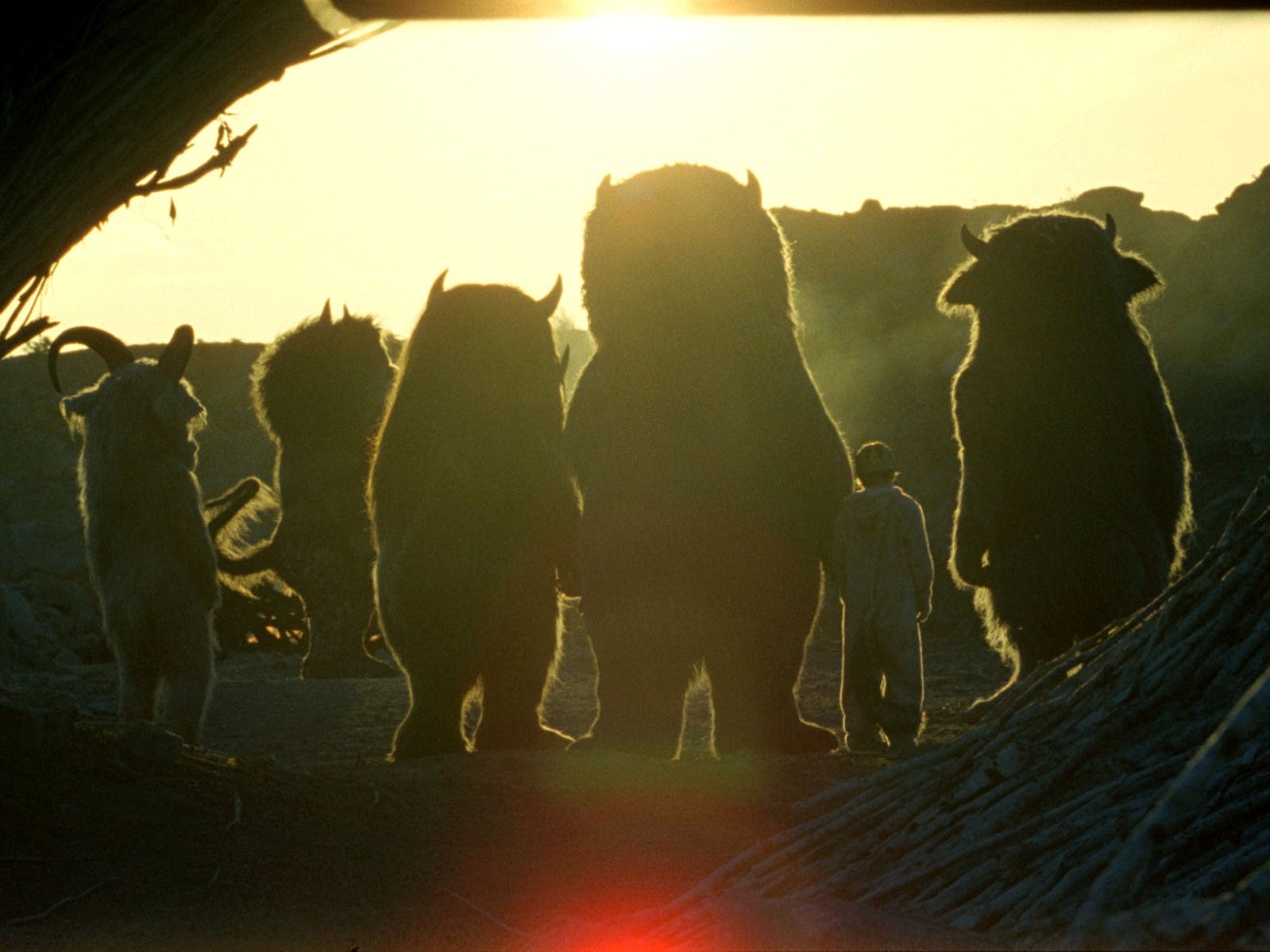Where the Wild Things Are Captures the Spirit of the Book