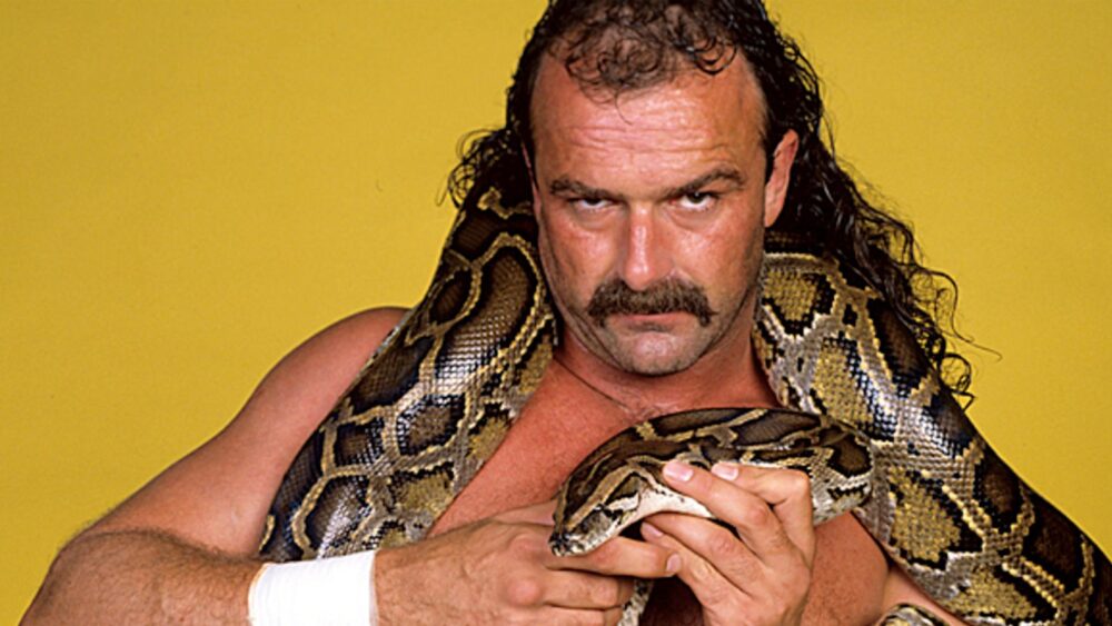 Appreciation of Jake "The Snake" Roberts | Tilt Magazine