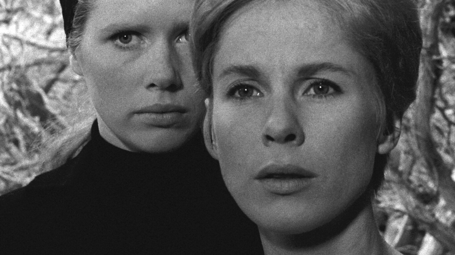 Hold the Drama! The 50 Best Movies About Relationships