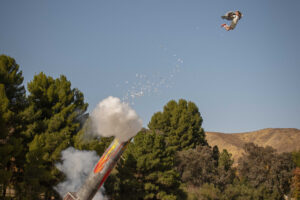 Painful Body Horror Returns in the Hilarious Jackass Forever