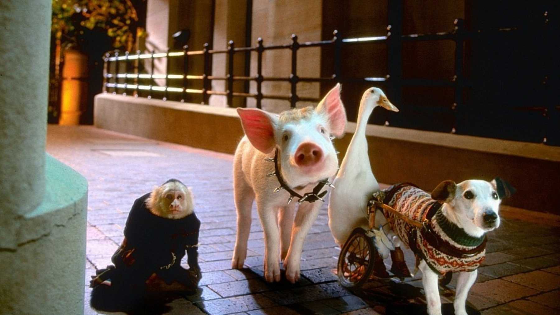 The Films of George Miller, Ranked From Worst to Best