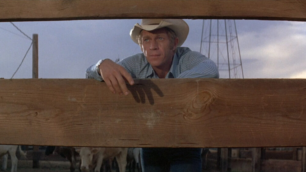 Buried Treasures, Hidden Gems: Loveable Losers | Tilt Magazine