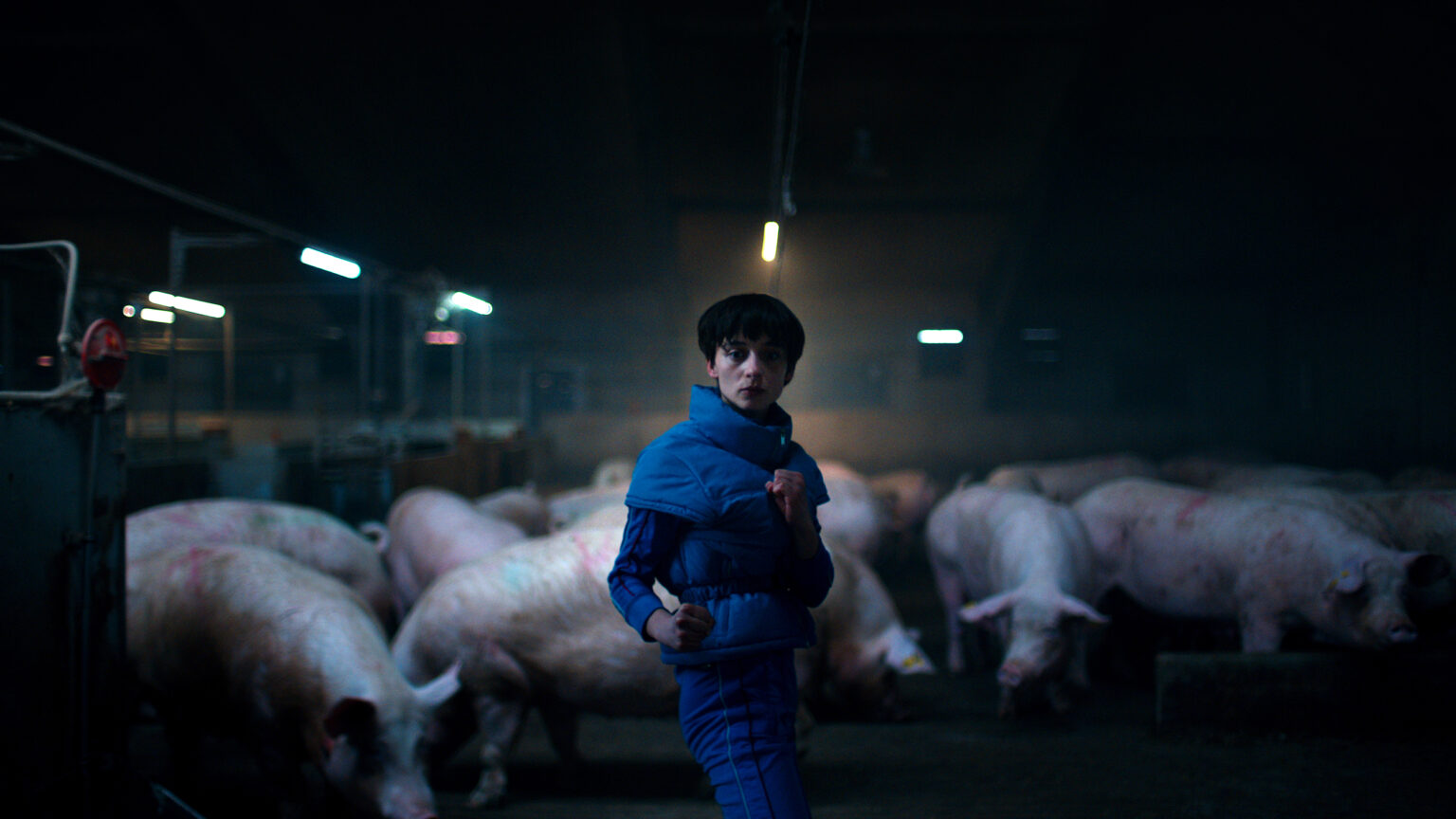 Copenhagen Cowboy Explores a Criminal Underworld in a Familiar, Neon ...