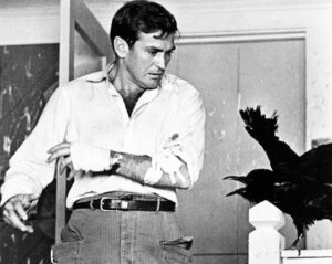 Second Wing: Another Look at Hitchcock's The Birds